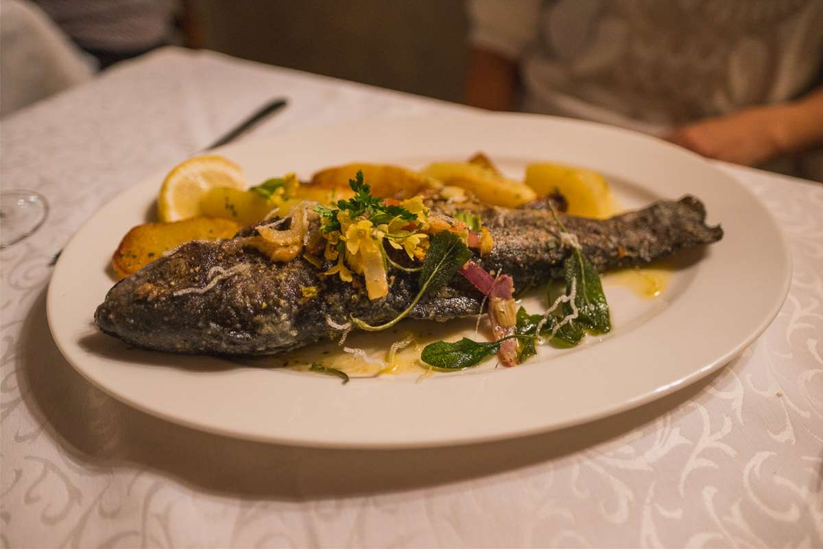 Salzburg's Finest: Top 8 Austrian Restaurants in Salzburg