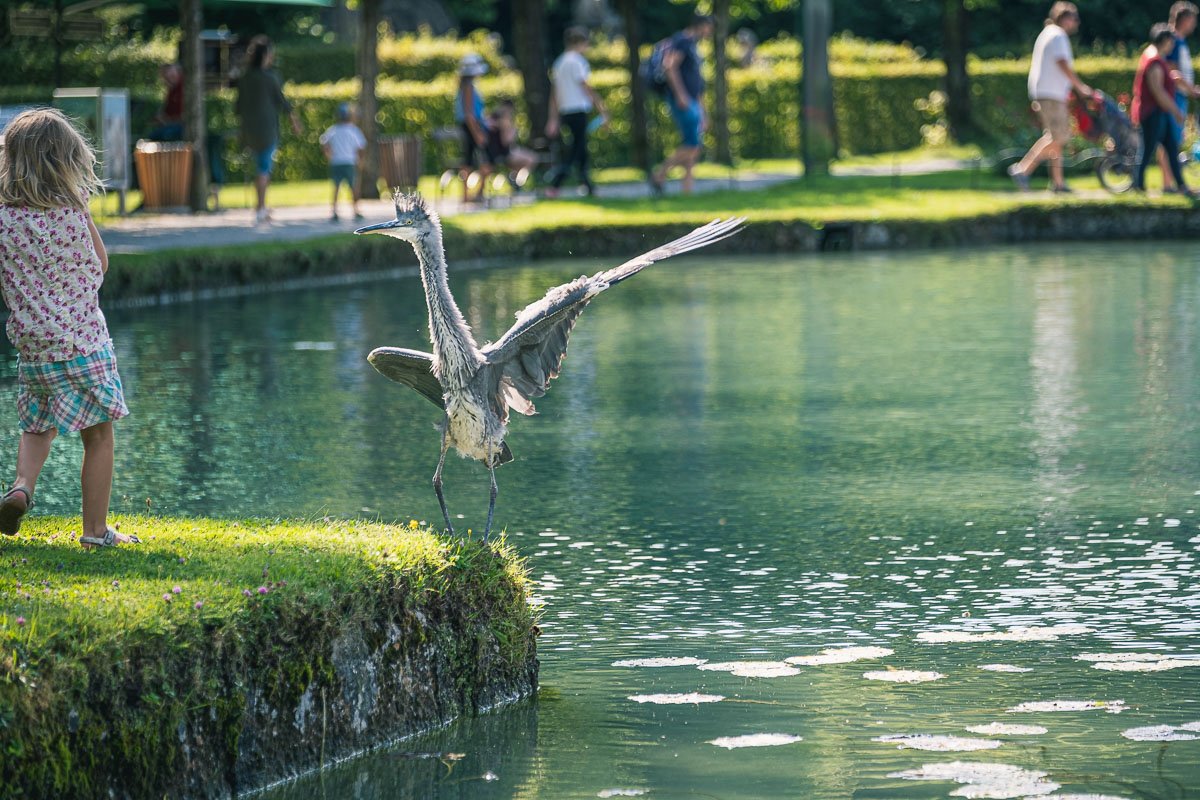 Discover the Magic of Hellbrunn's Trick Fountains in Salzburg